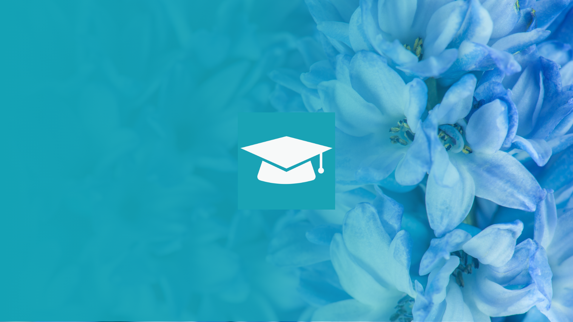 Inclusive Education Provider - Genius Within