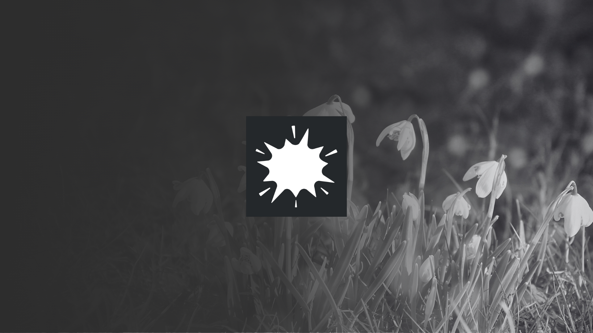 Stereotype Buster - Genius Within